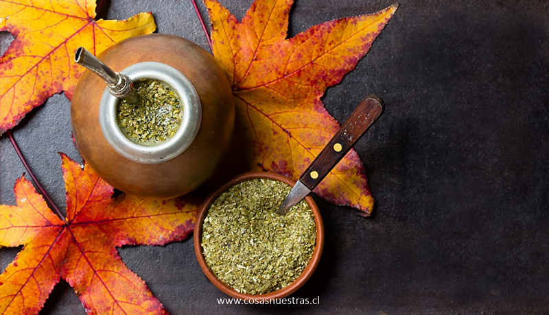 ? Cada cuánto cambiar la yerba del Mate | La Mejor Yerba Mate de Chile