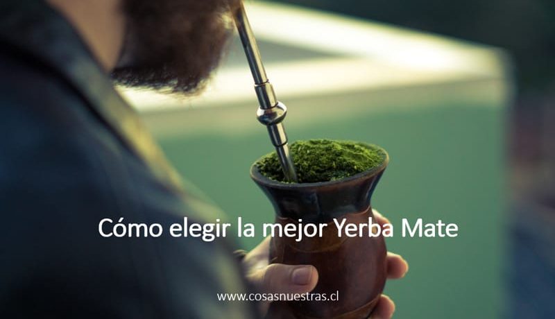 ? Consejos para elegir la mejor yerba mate | Yerba Mate en Chile